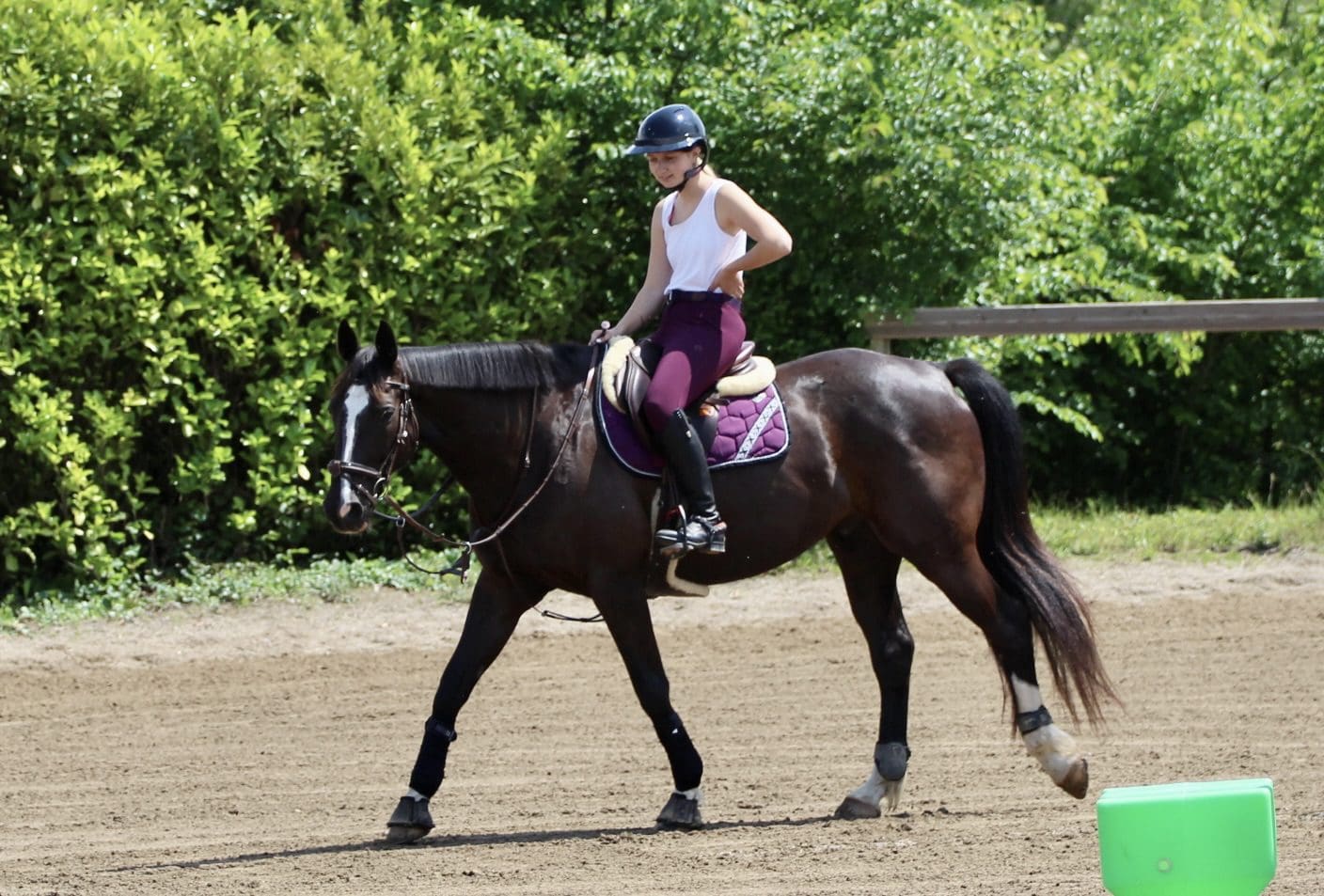 L'extension d'encolure - Sellerie instant cheval